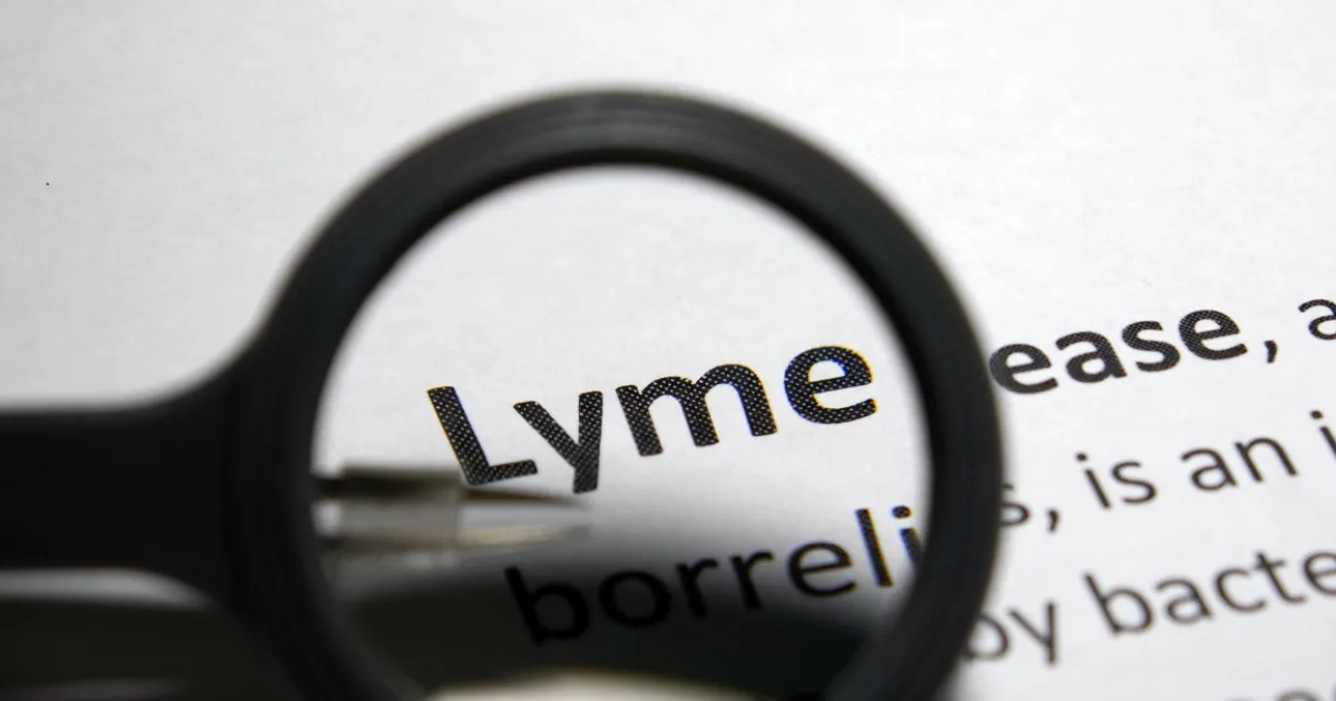 Tick Talk: Six Things to Know About Lyme Disease | South Shore Health