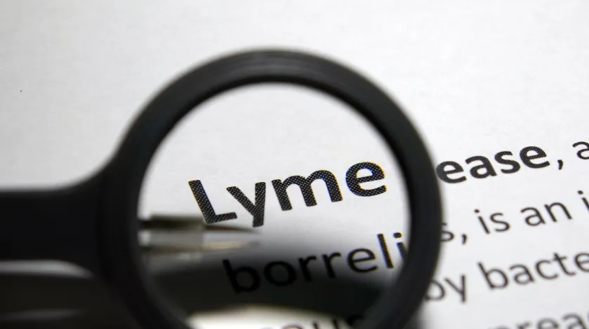 chances of contracting lyme disease
